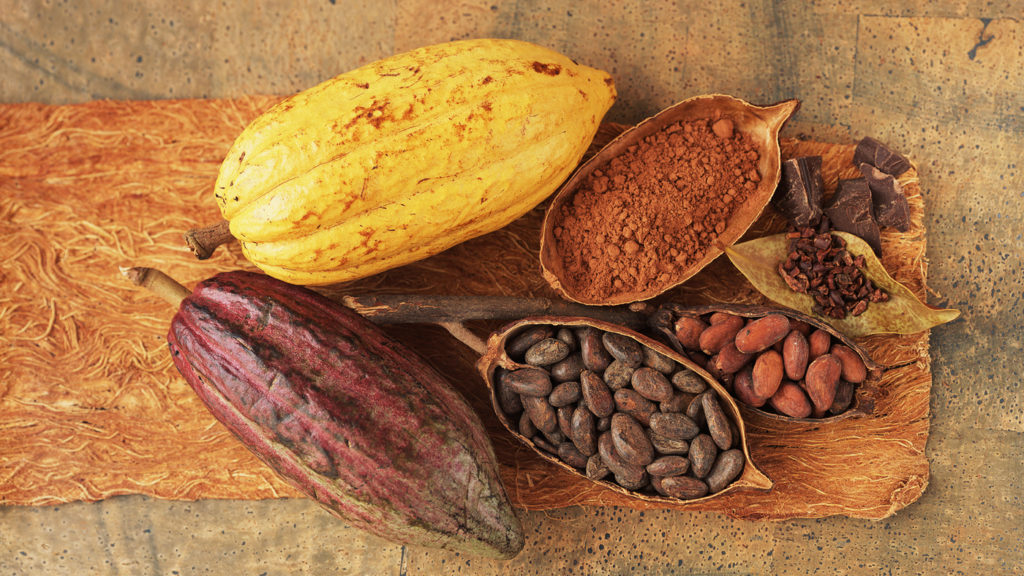 What Climate Changes Mean To Coffee And Cocoa Coffee T i Magazine what-climate-changes-mean-to-coffee-and-cocoa-coffee-t-i-magazine